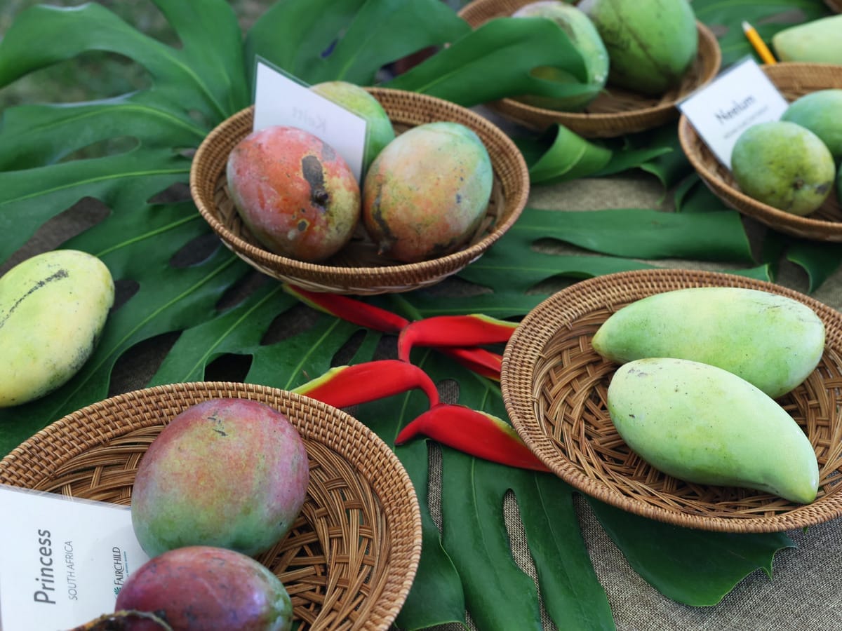 El Regreso del Rey de las Frutas: No te pierdas el inolvidable Festival ...