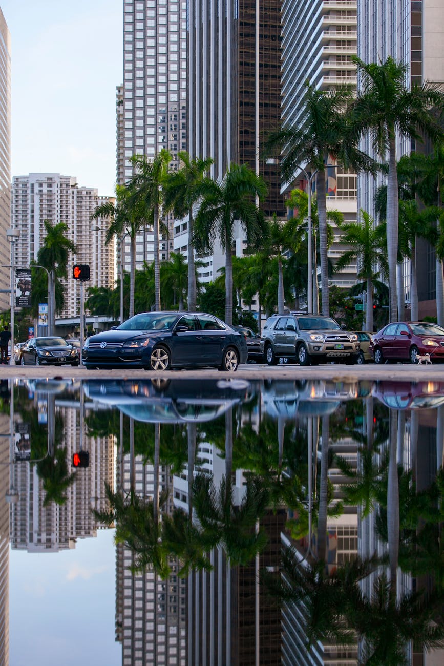 Julio es el Mes del Riego Inteligente: Miami-Dade promueve la ...